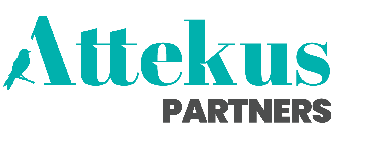 Partners - Attekus